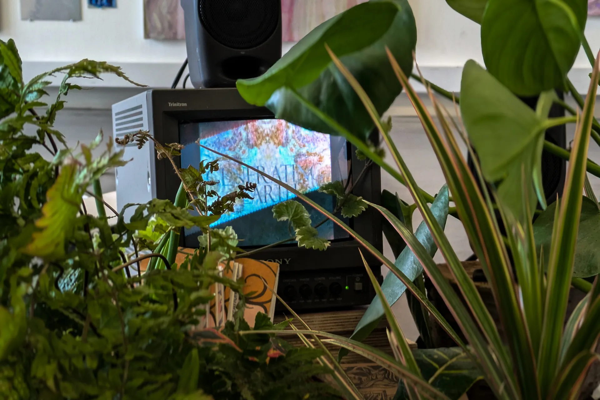 Kingston School of Art